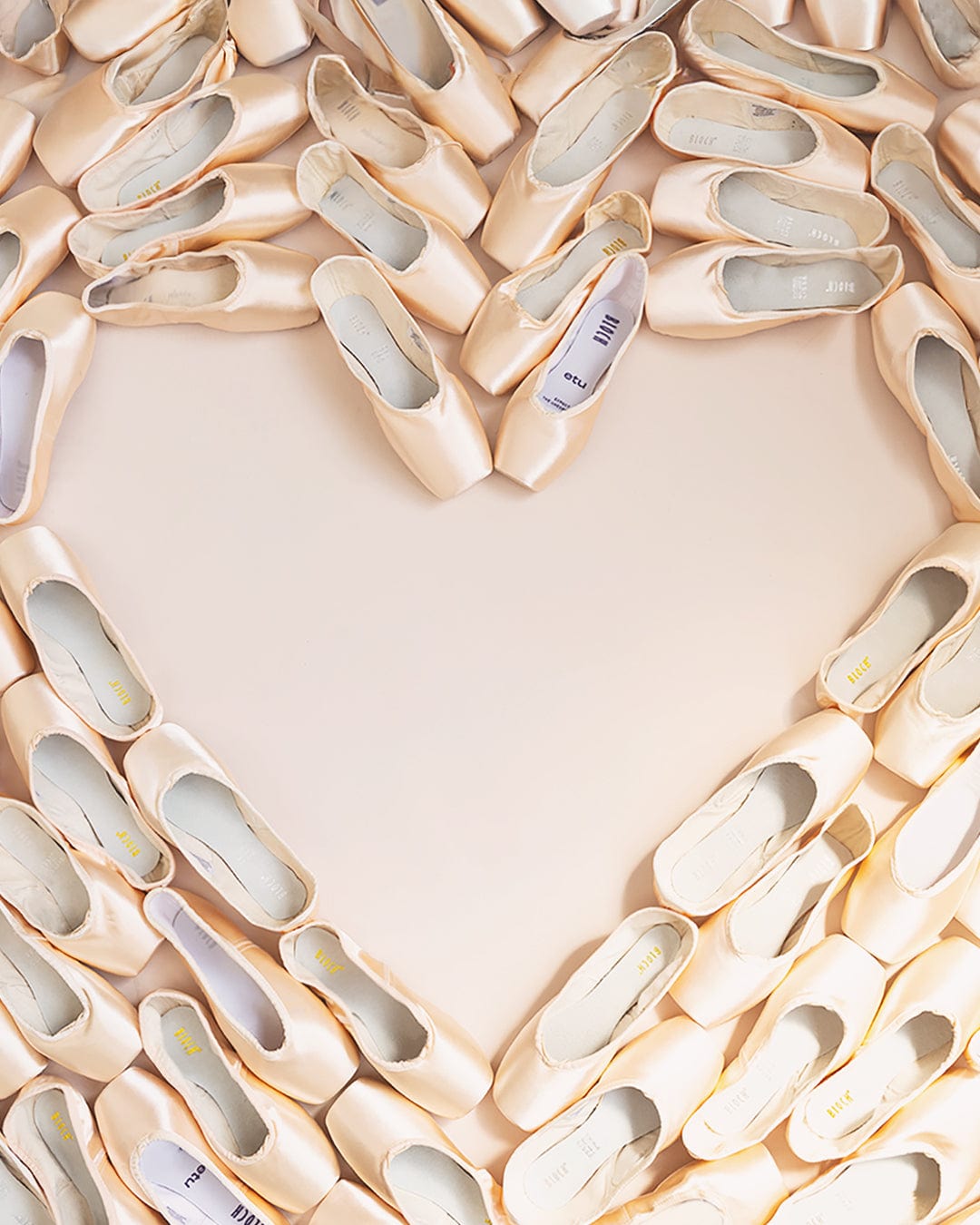 Pointe Shoes by Bloch, Capezio, Grishko & So Danca